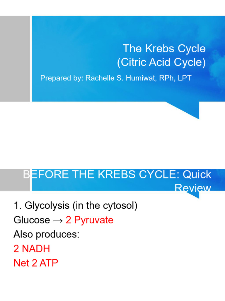 Kreb's Cycle | PDF | Citric Acid Cycle | Chemistry