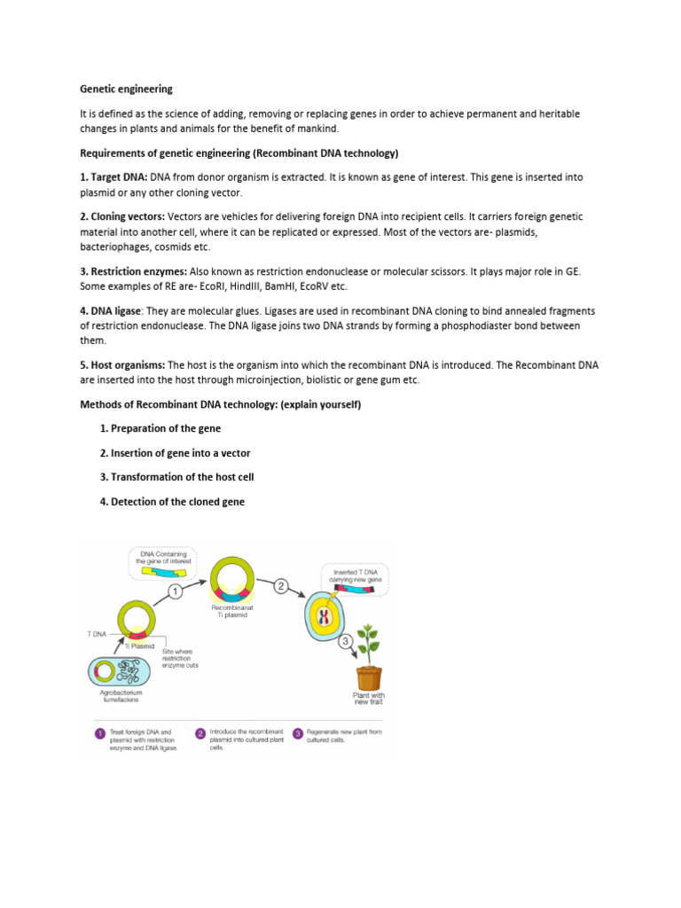 Genetic Engineering | PDF