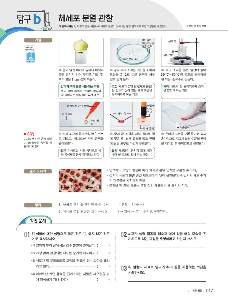 오투중학과학3-2 | PDF