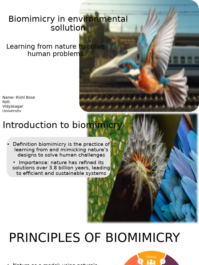 Biomimicry: Nature-Inspired Solutions | PDF