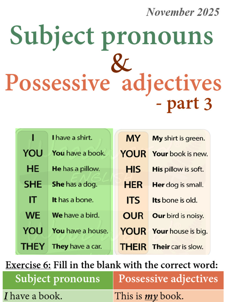 Subject Pronouns & Possessive Adjectives | PDF