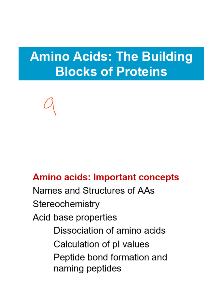 Biochem 3 | PDF | Amino Acid | Molecular Biophysics