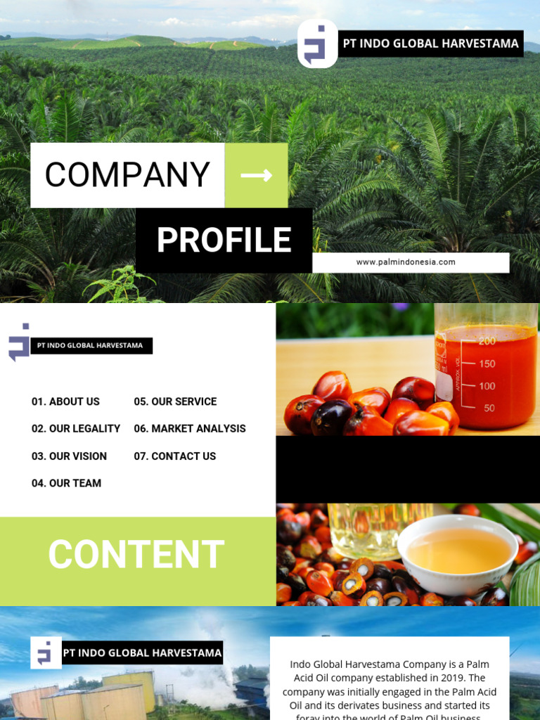 Profil Perusahaan | PDF