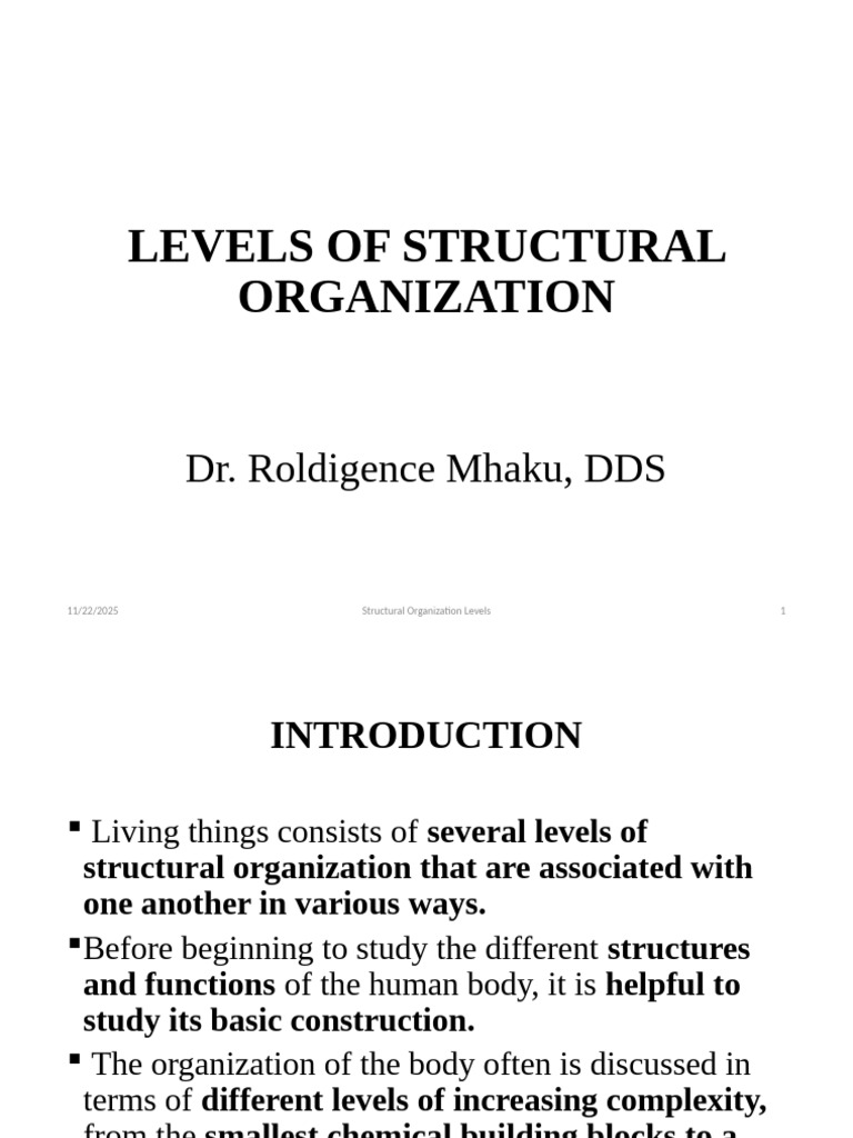 Levels of Structural Organization | PDF | Human Body | Tissue (Biology)