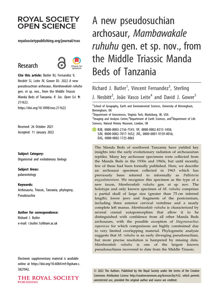 Butler Et Al 2022 a New Pseudosuchian Archosaur Mambawakale Ruhuhu Gen Et Sp Nov From the Middle ...