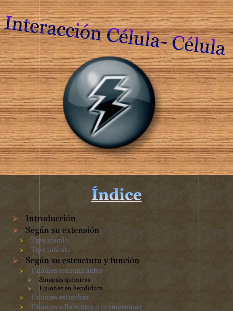 Interacción Célula Célula2 | PDF | Sinapsis | Sinapsis química