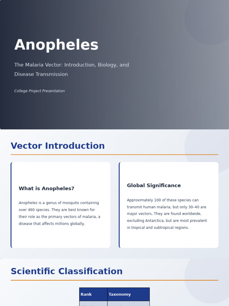Anopheles Mosquito Project | PDF | Mosquito | Microbiology