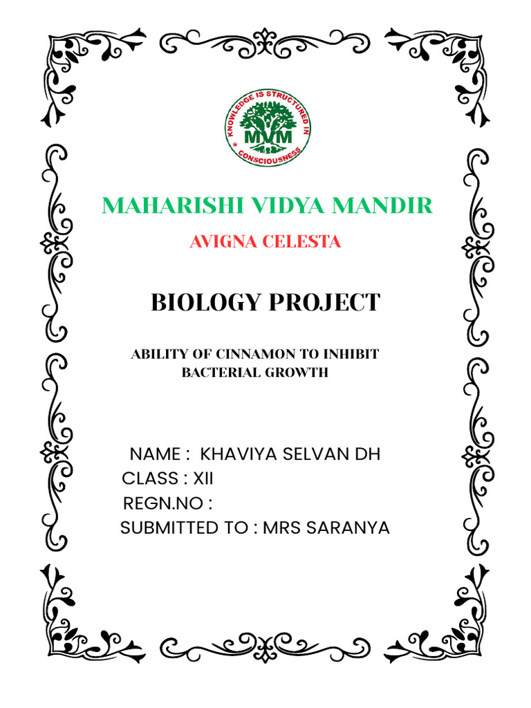 Bio Ip Plain Border | PDF | Cinnamon | Bacteria