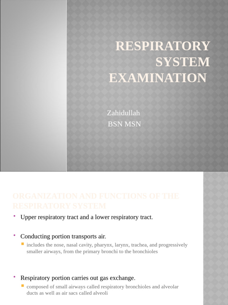 Respiratory System Examination Guide | PDF | Respiratory Tract | Cough