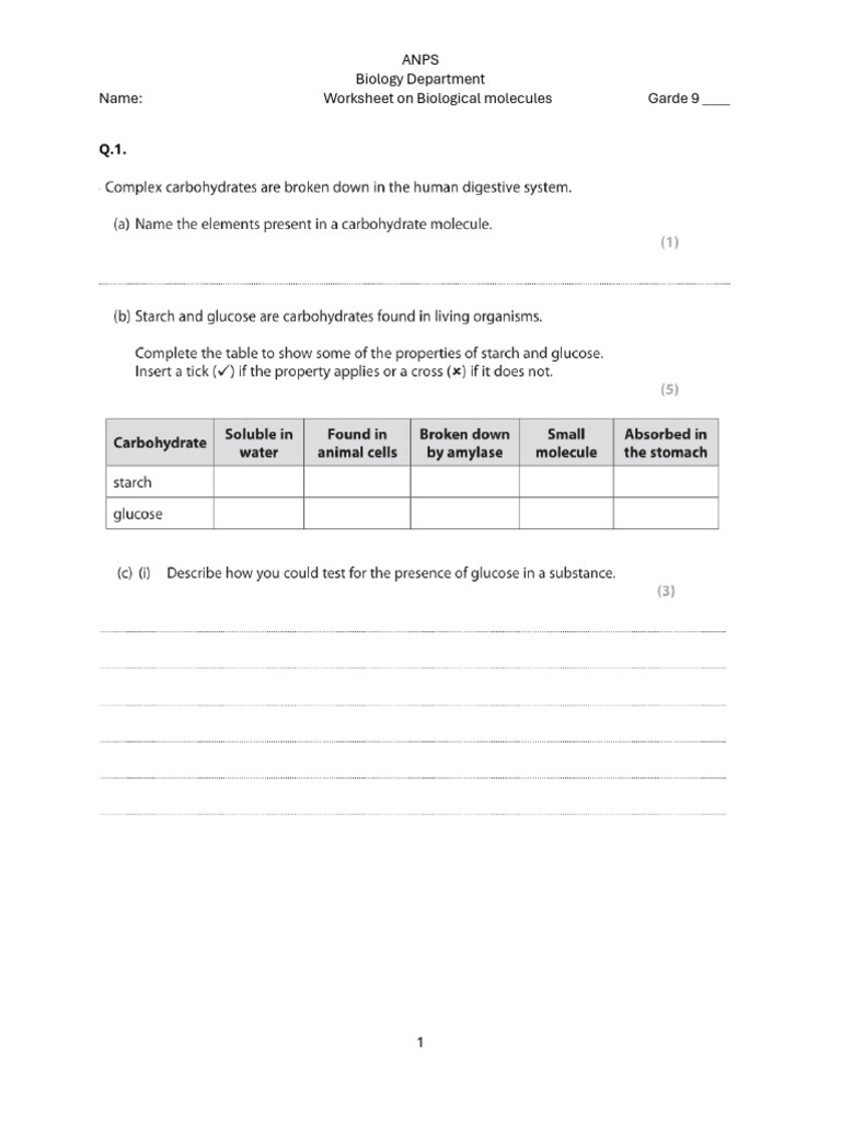 Grade 9 Biological Molecules Worksheet | PDF