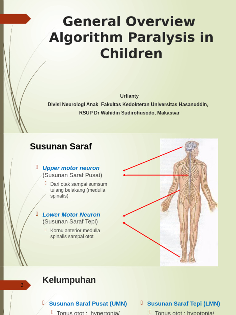 General Overview Algorithm Paralysis in Children | PDF