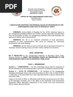 SK Officials: Roles and Responsibilities | PDF | Government | Justice