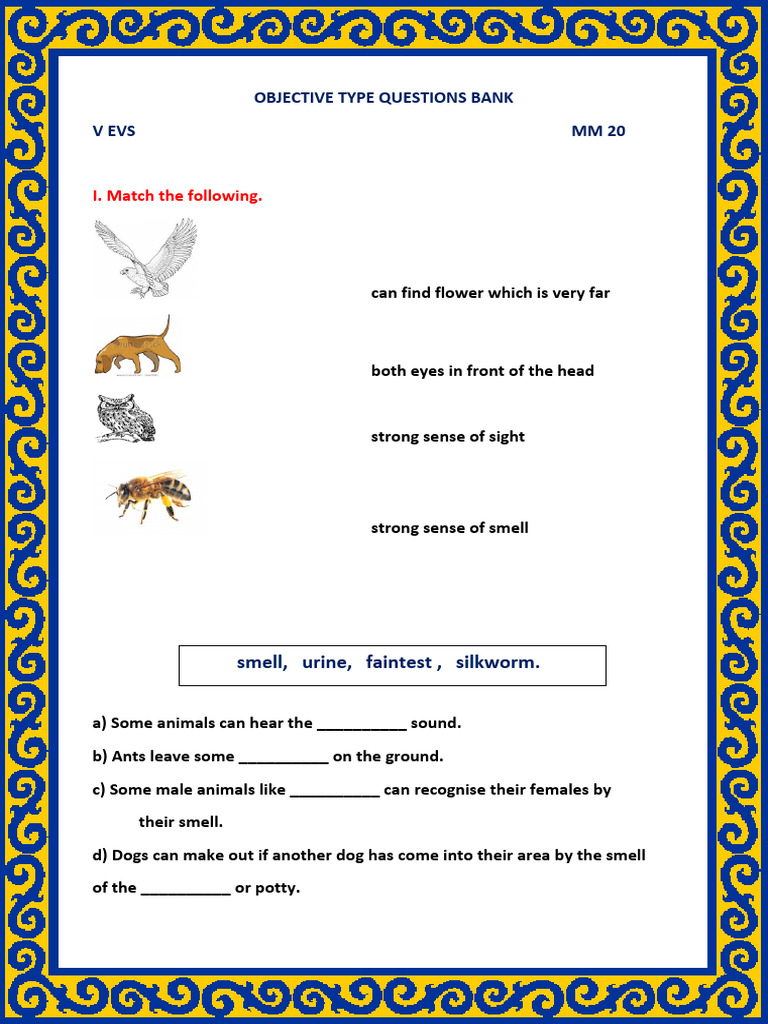 EVS Objective Questions Bank for Students | PDF | Digestion | Stomach