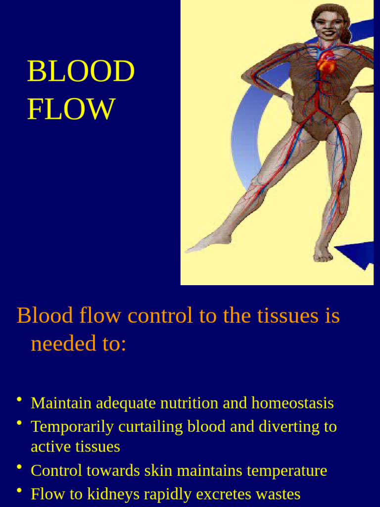 Blood Flow | PDF