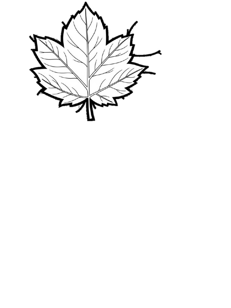 Hoja Molde | PDF