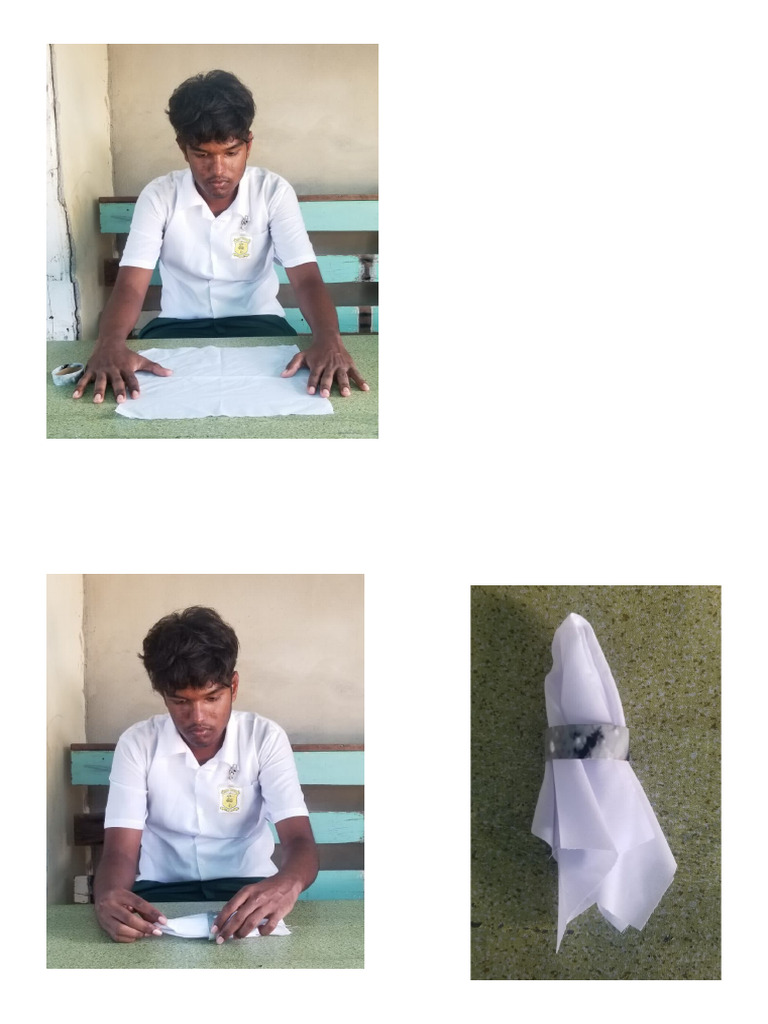 Napkin Fold | PDF