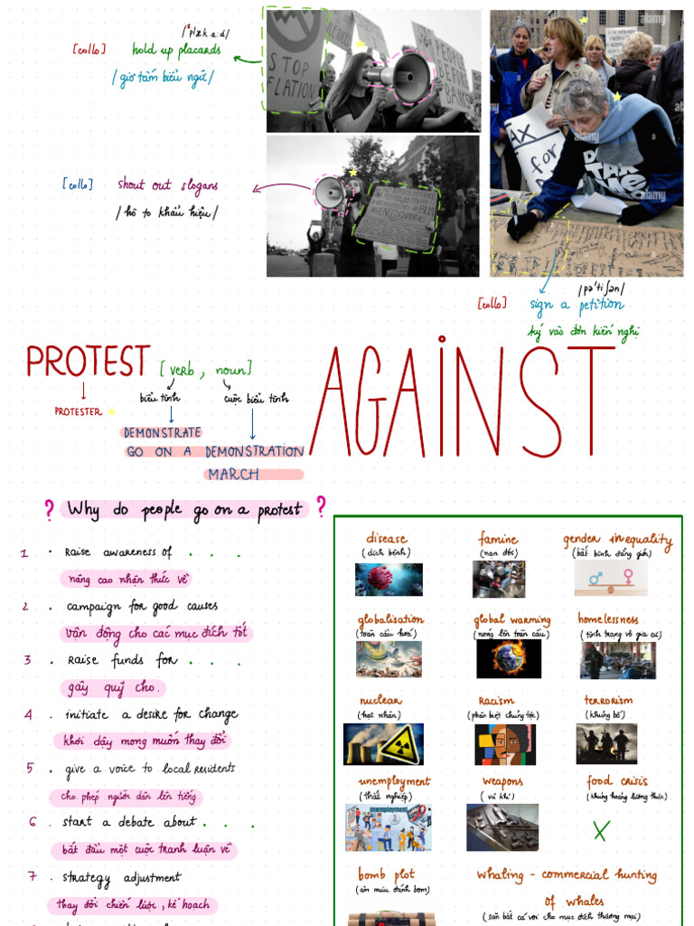 Unit 8 Vocab | PDF