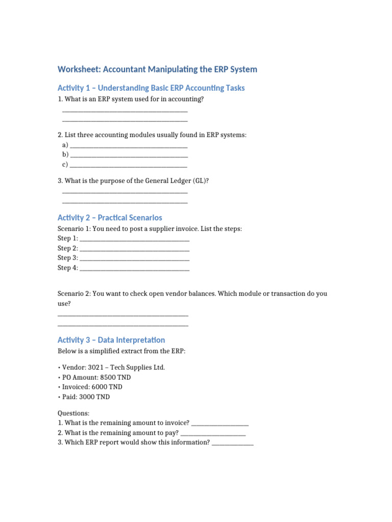 Accountant ERP Worksheet | PDF