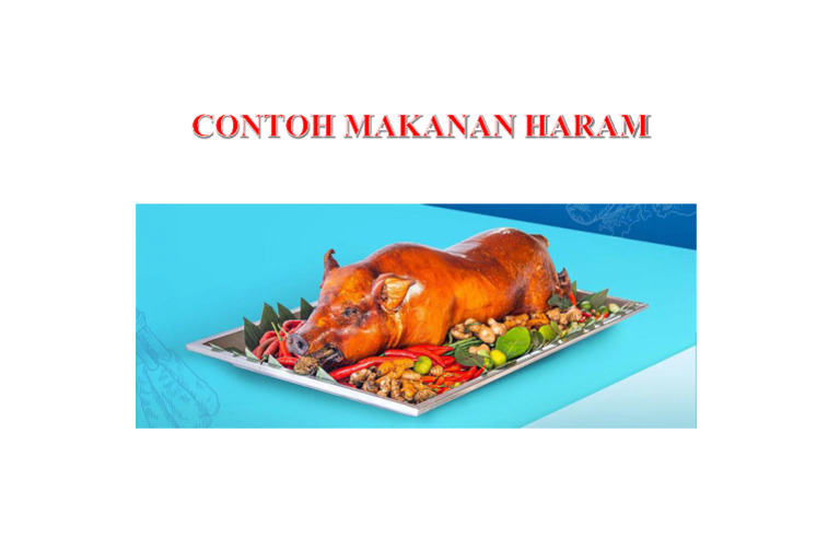 Babi Haram | PDF