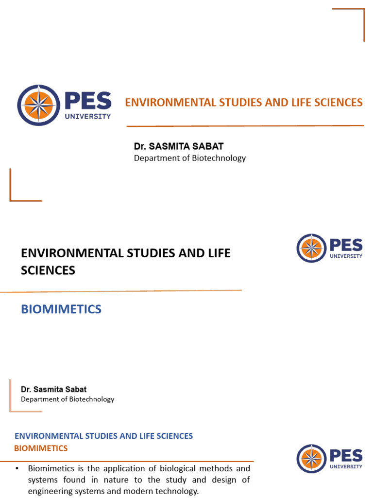 Biomimetics in Environmental Science | PDF | Biodegradation | Physical ...