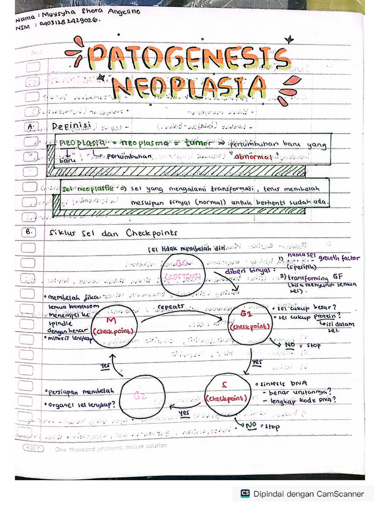 Catatan OB - 1-Patogenesis Neoplasia | PDF
