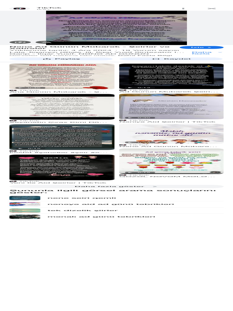 Nene Seiri - Google'Da Ara | PDF