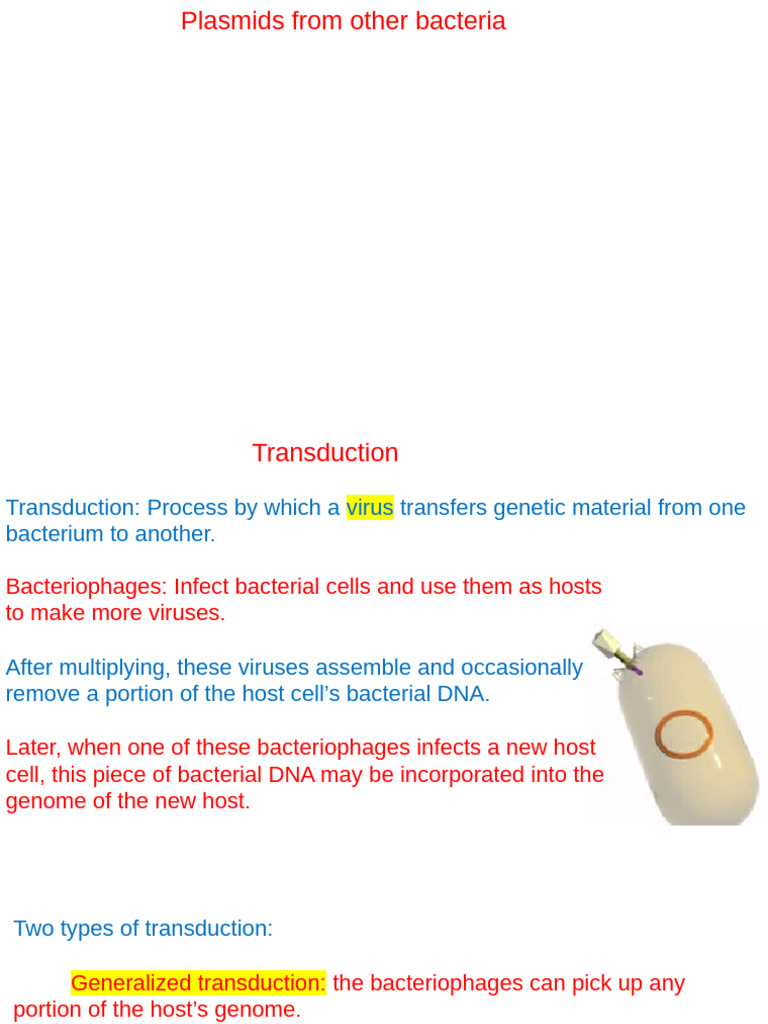 Bacterial Plasmids and Genetic Transfer | PDF | Plasmid | Bacteria