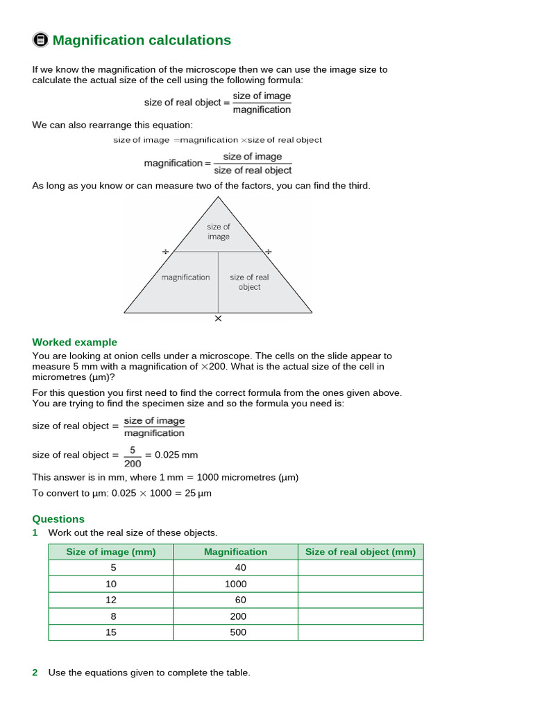 Microscope Magnification Calculations Guide | PDF | Optics