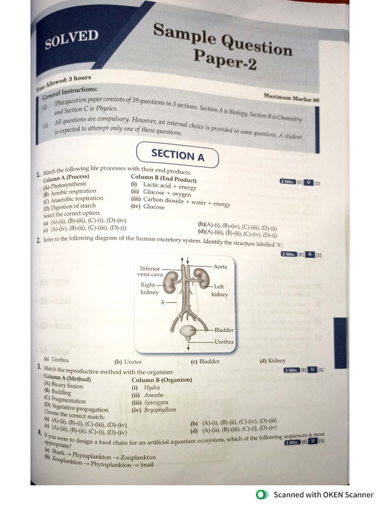 Sample Paper 10th Science | PDF