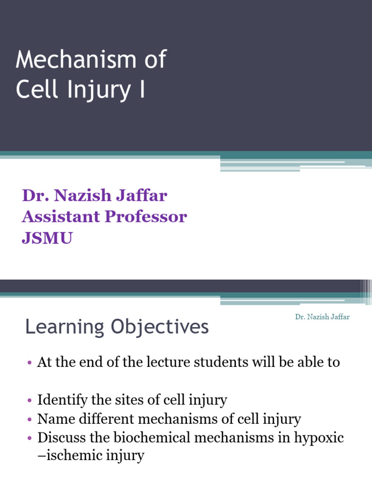 Mechanism of Cell Injury I | PDF | Mitochondrion | Adenosine Triphosphate