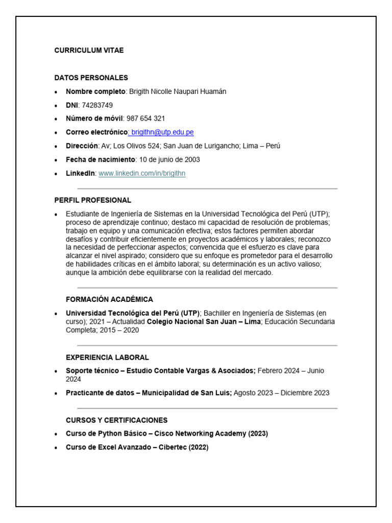 CV Brigith Ñaupari | PDF
