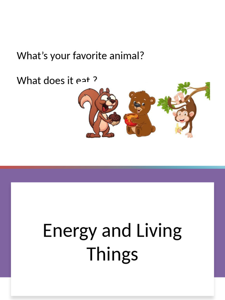 Energy Sources for Living Things | PDF