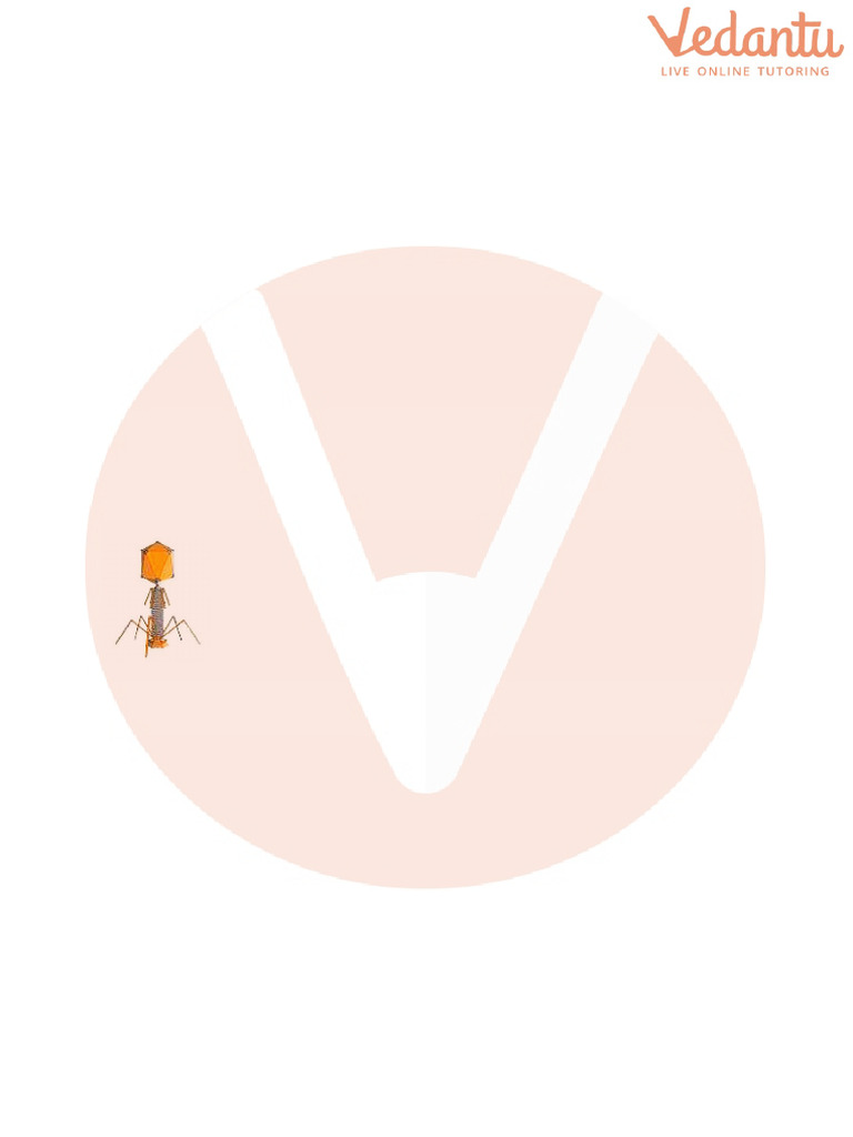 Class 8 Science Microorganisms Friend and Foe Worksheets | PDF ...