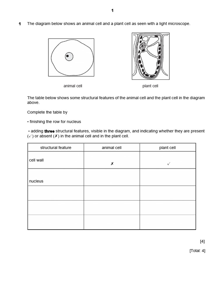 TEST 1 | PDF | Cell (Biology) | Chloroplast