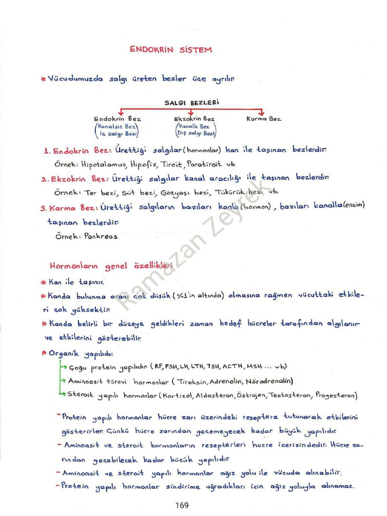 Endokrin Sistem.. | PDF
