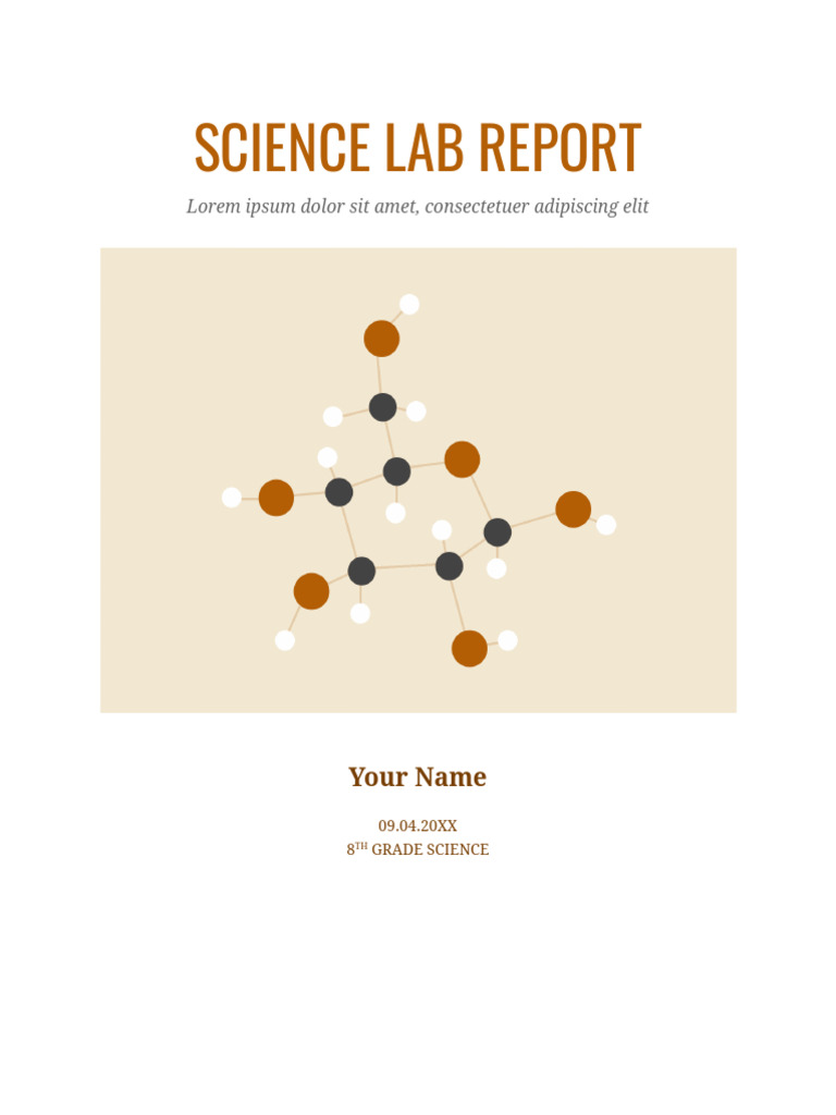 Lorem Report | PDF