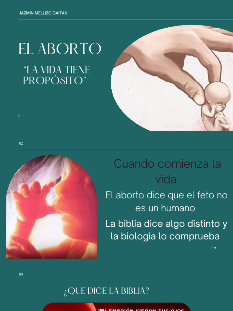 El Aborto | PDF | El embarazo | Aborto