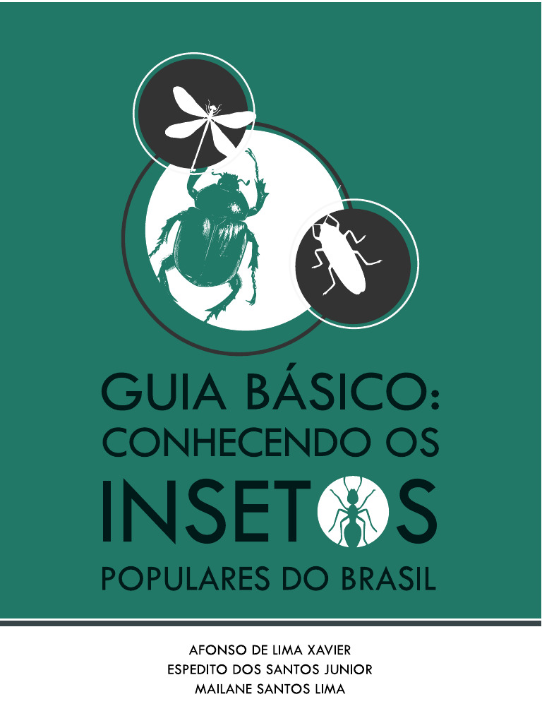 Diversidade e Morfologia dos Insetos | PDF | Lepidoptera | Abelhas
