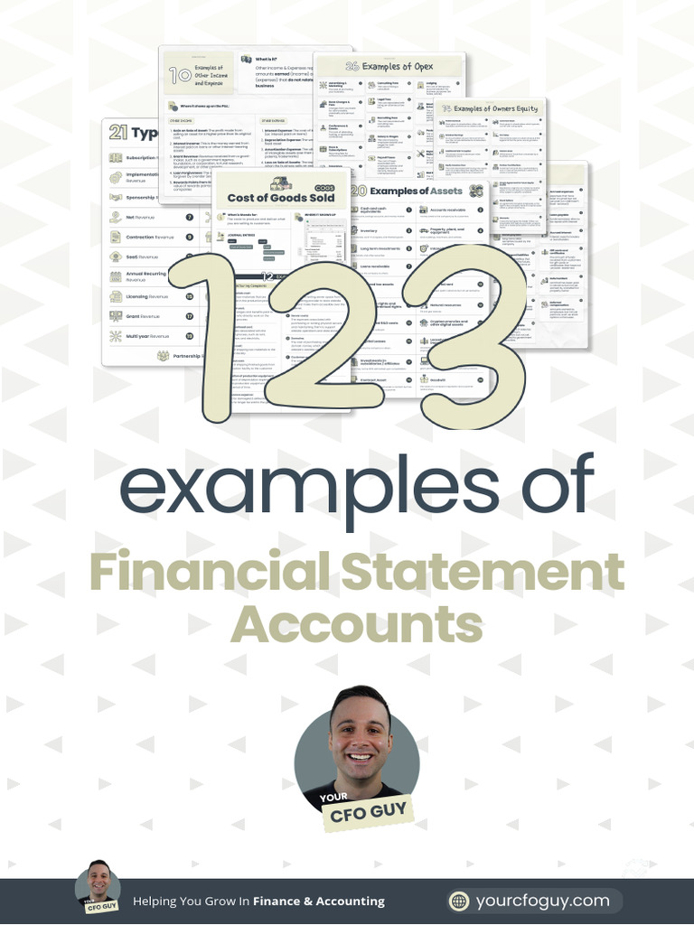 Finance Guide: Profit & Loss Basics | PDF | Income Statement | Balance ...