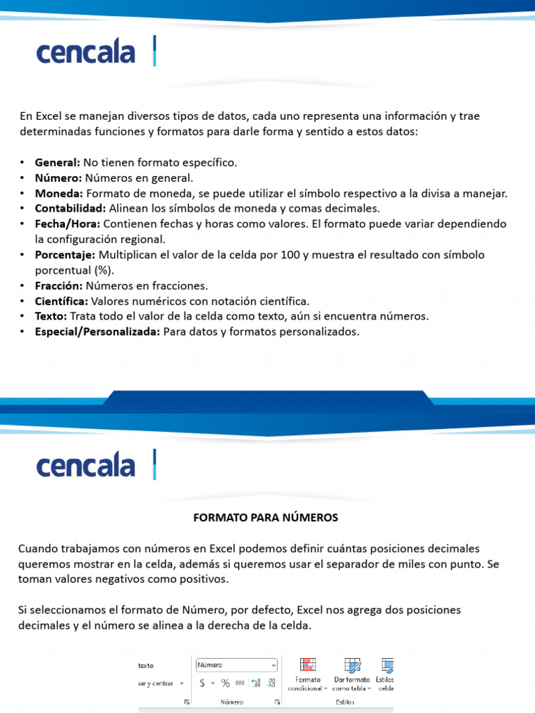 Formato de Datos | PDF | Microsoft Excel | Decimal