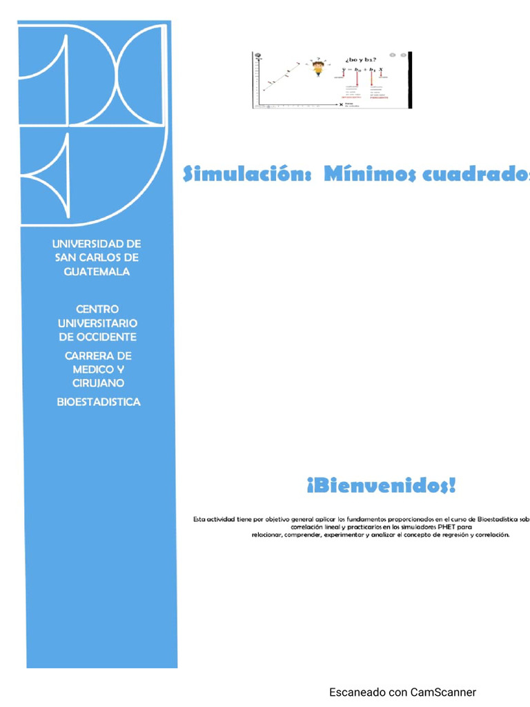 Simulación Mínimos Cuadros Grupo G-1 | PDF