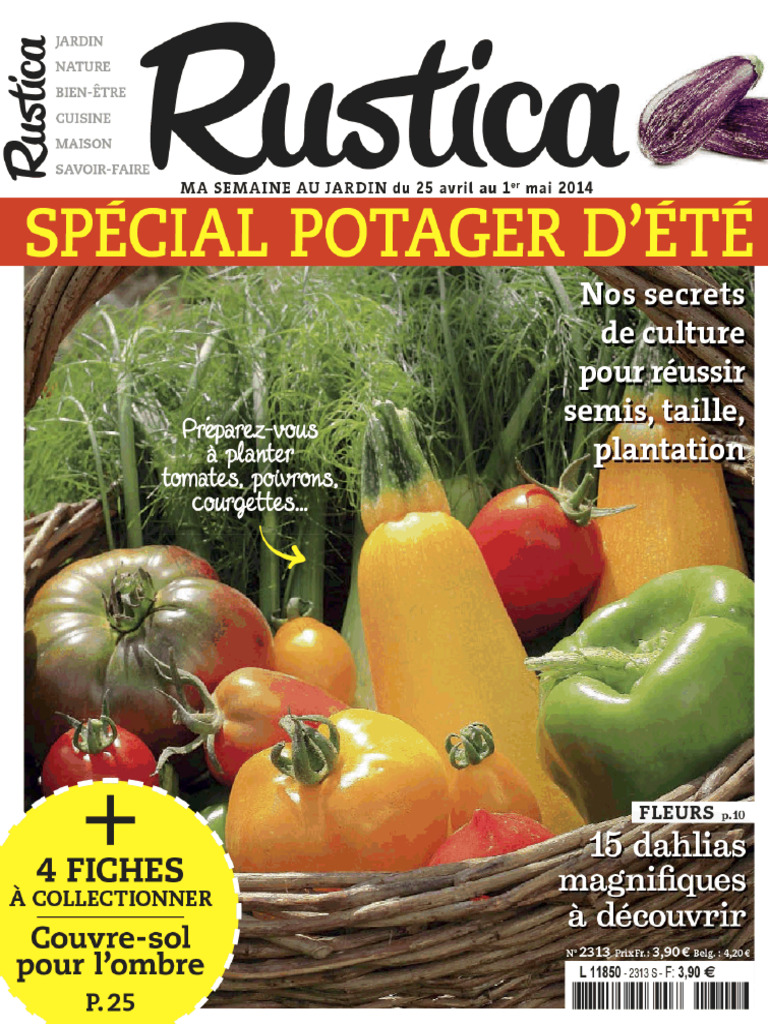 Rustica 2313 | PDF