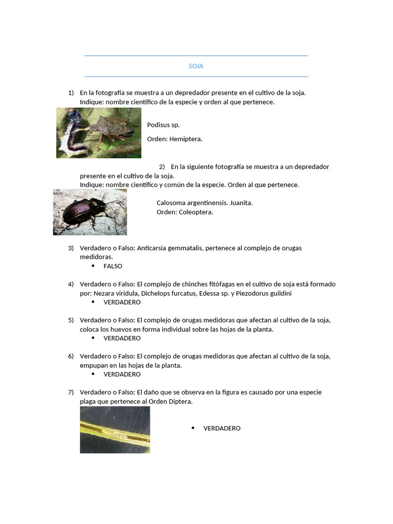 SOJA | PDF | Haba de soja | Insectos