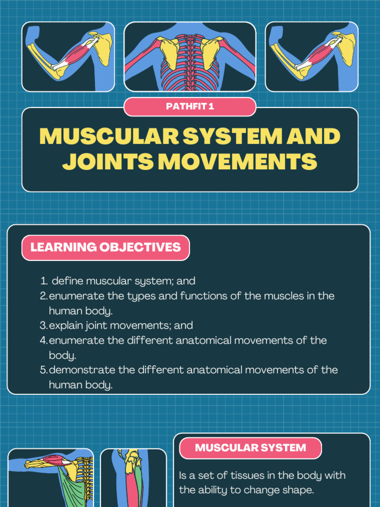 Muscular System and Joint Movements Guide | PDF | Skeletal Muscle ...