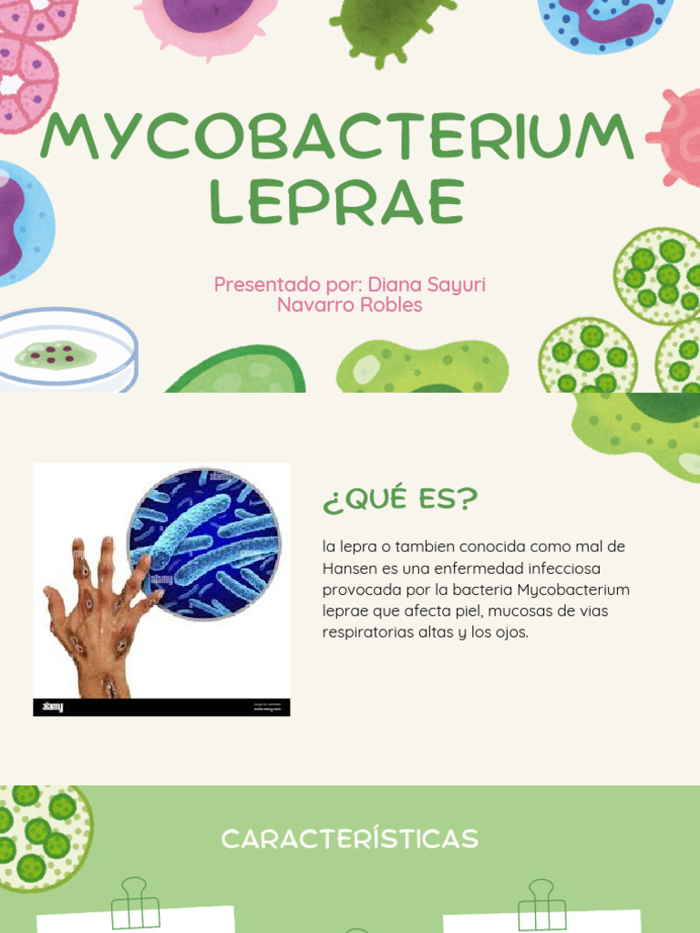 Mycobacterium leprae y la lepra: guía completa | PDF | Lepra | Infección