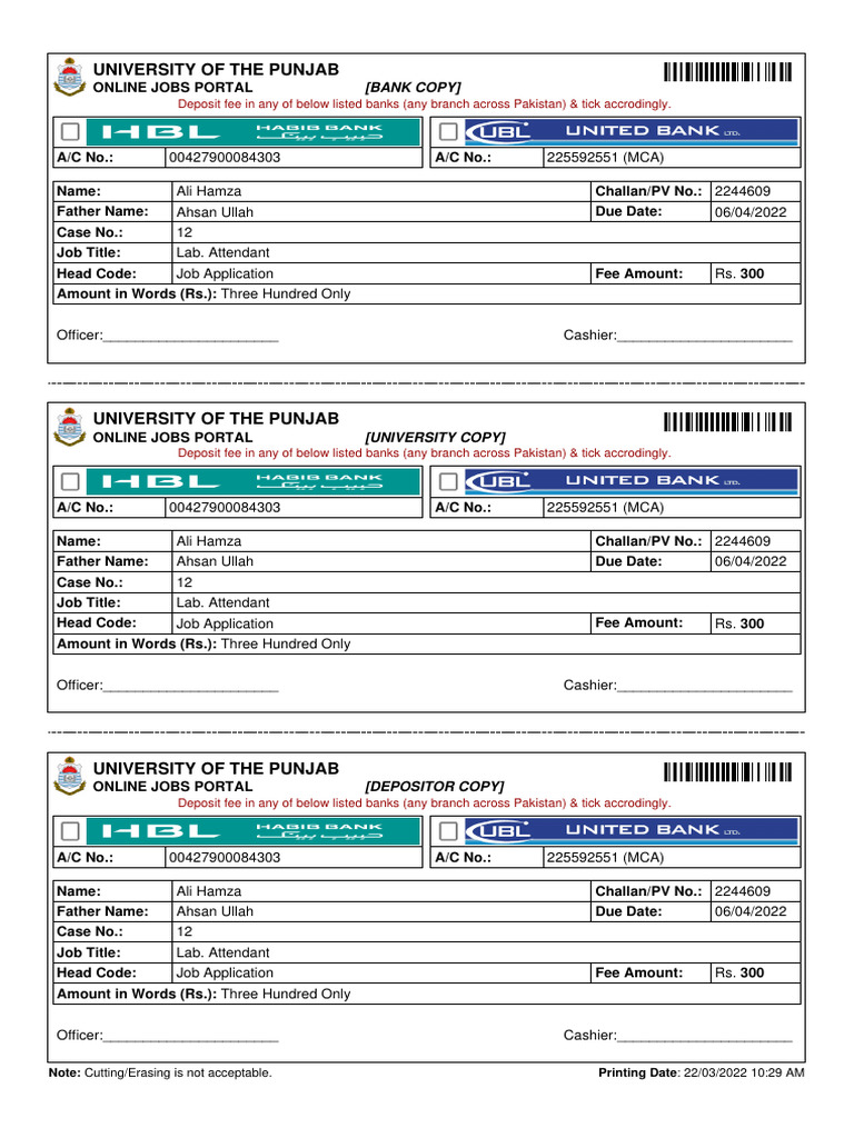 Challanform 746 1647926973 | PDF | Land Transport | Road Transport