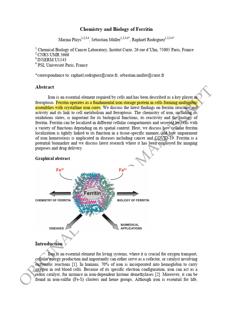 Ferritin: Structure, Function, and Disease Links | PDF | Cancer ...