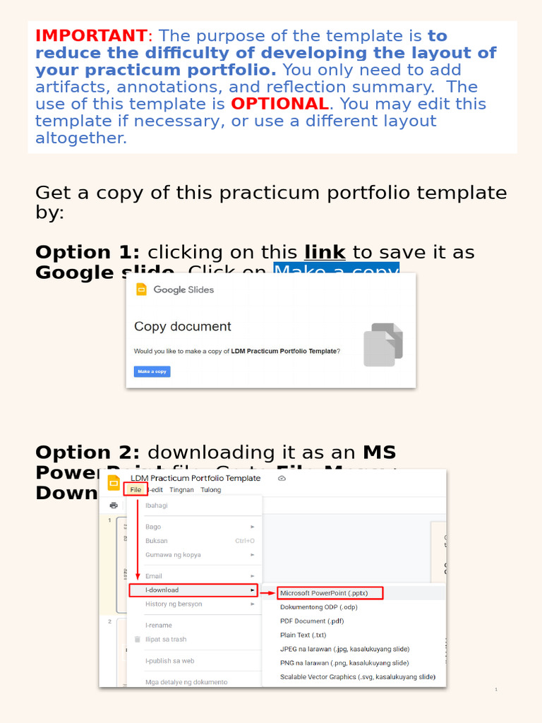 Suggested LDM Practicum Portfolio Template | PDF | Software | Computing