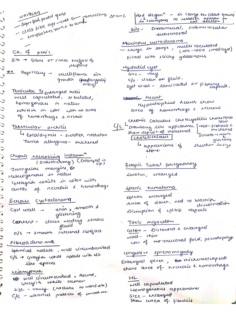 Gross Feature | PDF