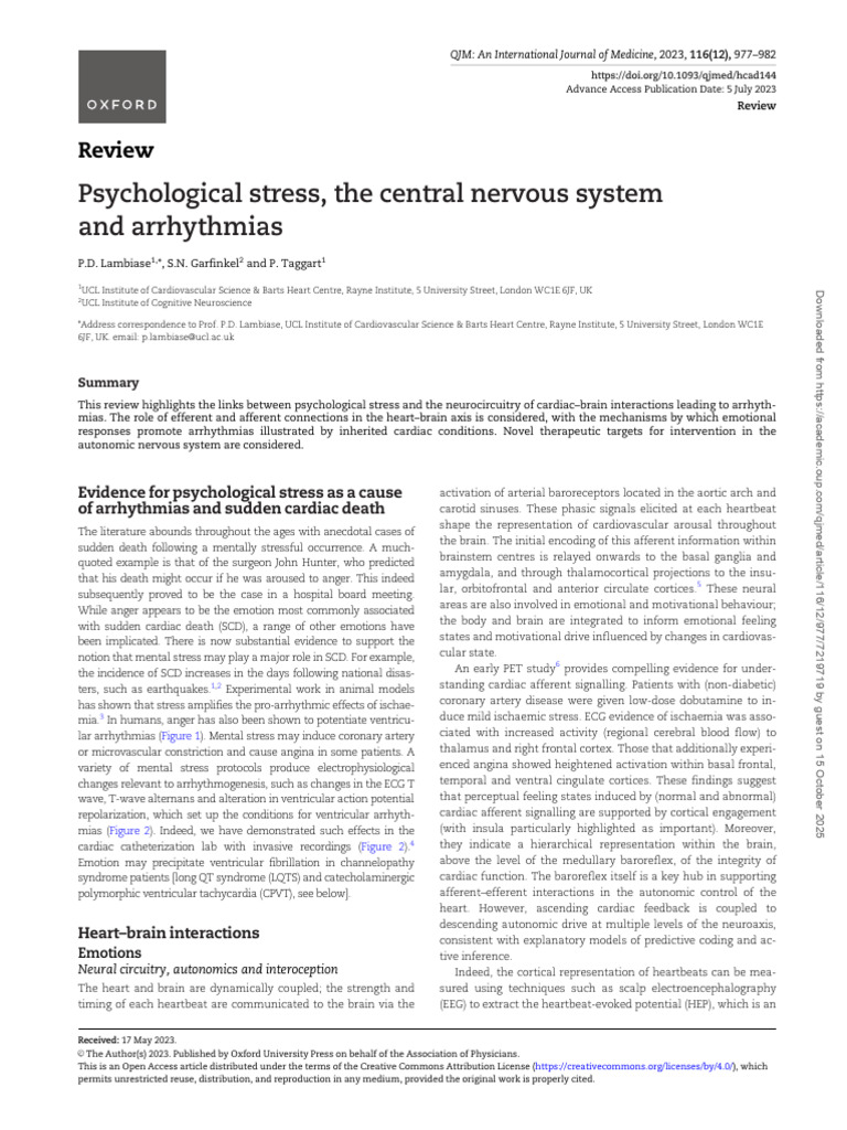 Hcad 144 | PDF | Insular Cortex | Cerebral Cortex
